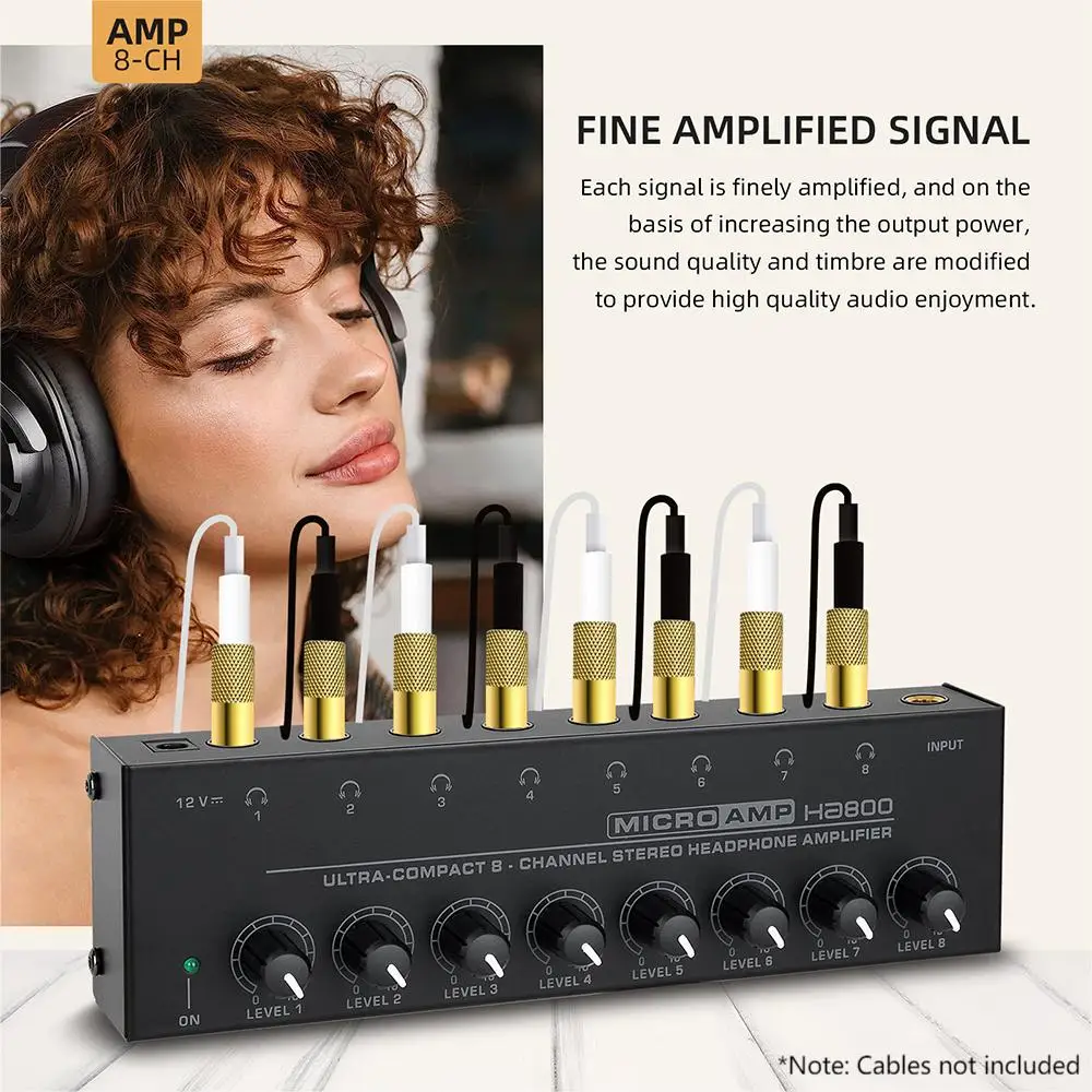 Lossless Audio Transmission For Musicians Portable In-Ear Monitor ...