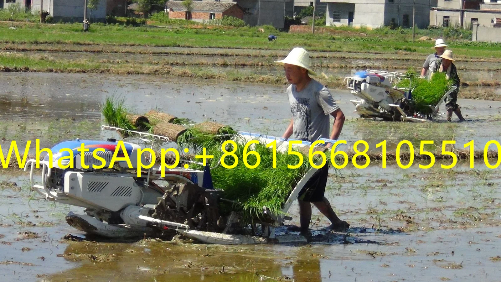 High Productivity Rice Transplanter - 6 Rows Manual Machine