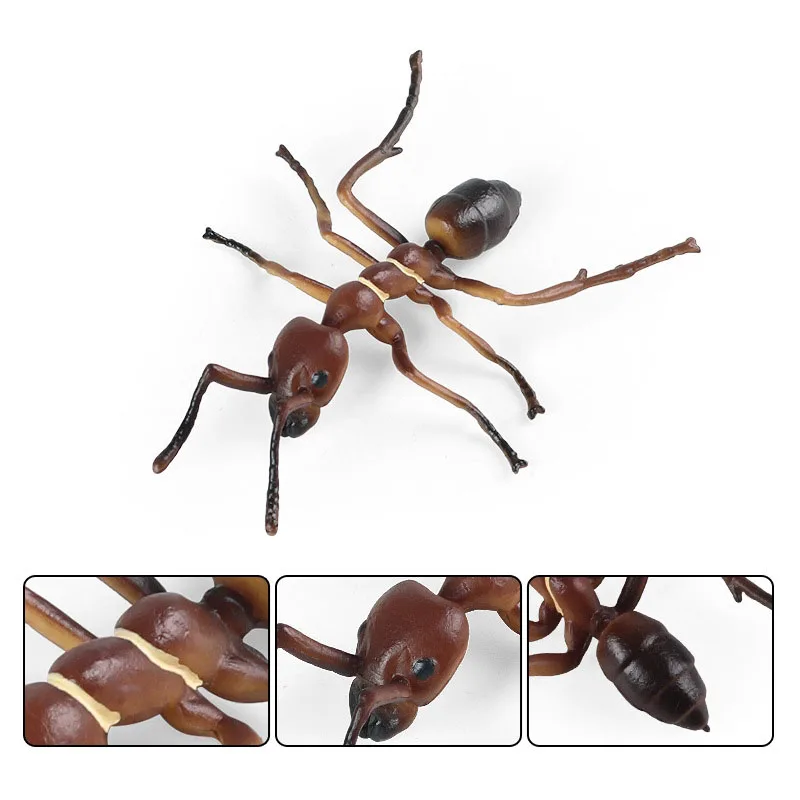 Toy Insect Plastic Small Pvc Insect Toy Plastic Insect Kids Toys - Buy ...