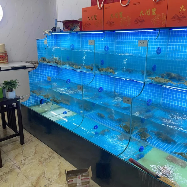 Live Lobster Farming Tank - Perfect for Restaurants & Shops