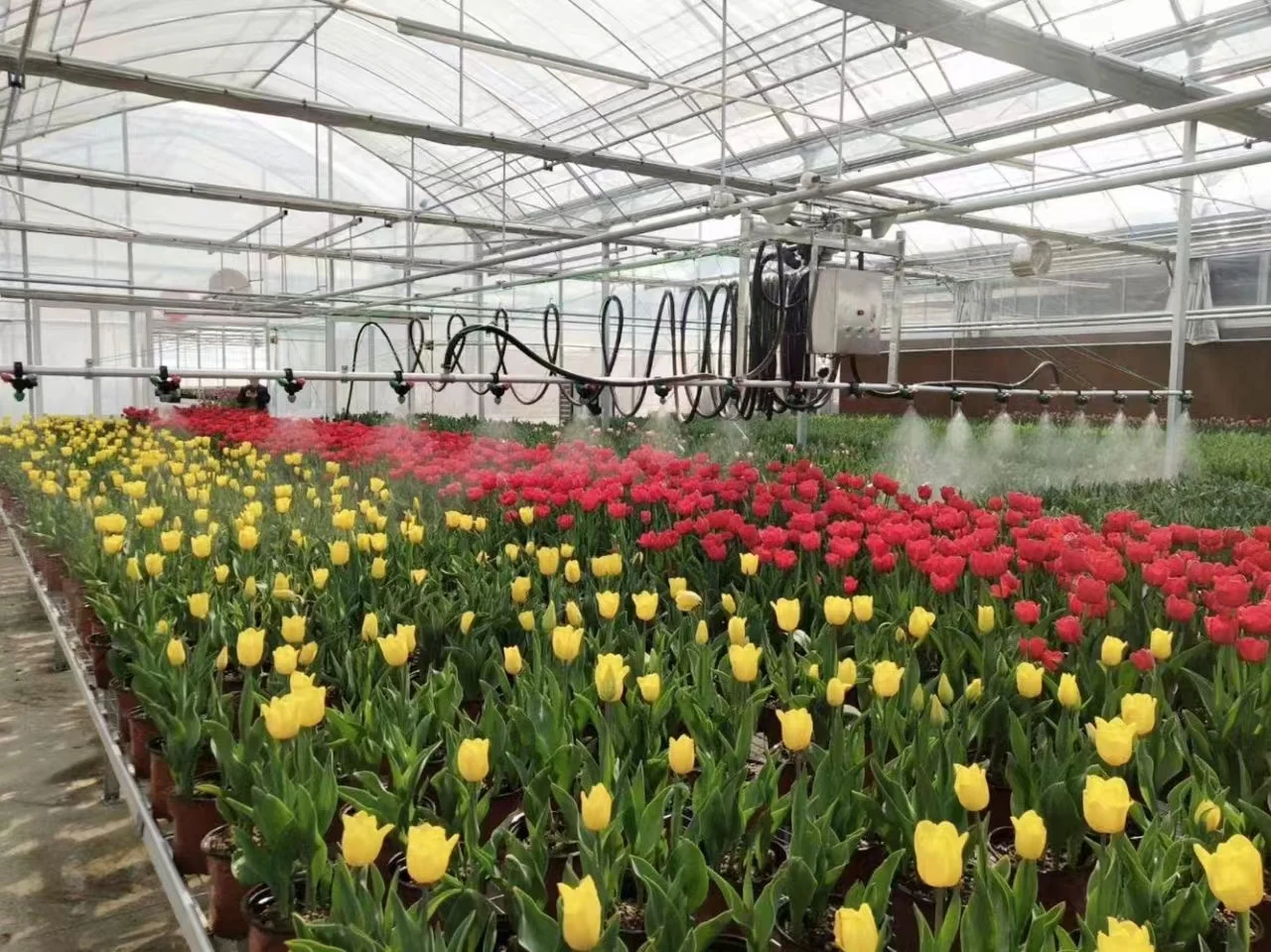 One-one Flow Rolling Bench Tables And Trays Horticultural Growing ...