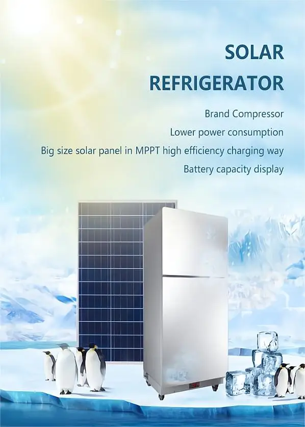 24V All in One Solar Fridge - Reliable Outdoor Solution