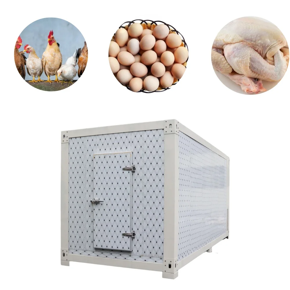Cold Room Walk In Freezer Sliding Doors For Cold Storage Room Design ...