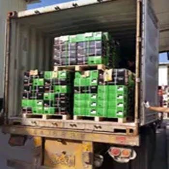 Kit De Reparación De Cilindro De Inclinación Para Camión Volvo,20488307 ...