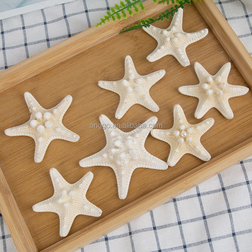 Landscape Design Hermit Crab Shell Replacement Aquarium Wholesale ...