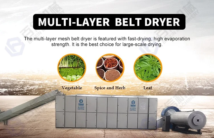 Mesh Belt Tunnel Dryer Moringa Leaf Dryer Moringa Leaf Drying Machine ...