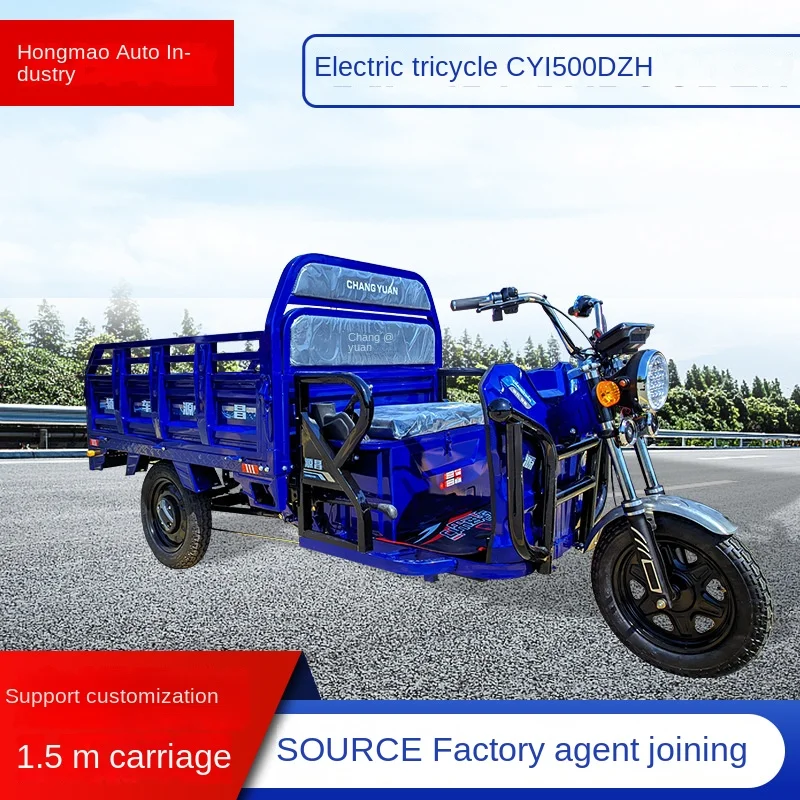 3 Wheels Electric Tricycle 3 Wheel Electric Cargo Bike Electric ...