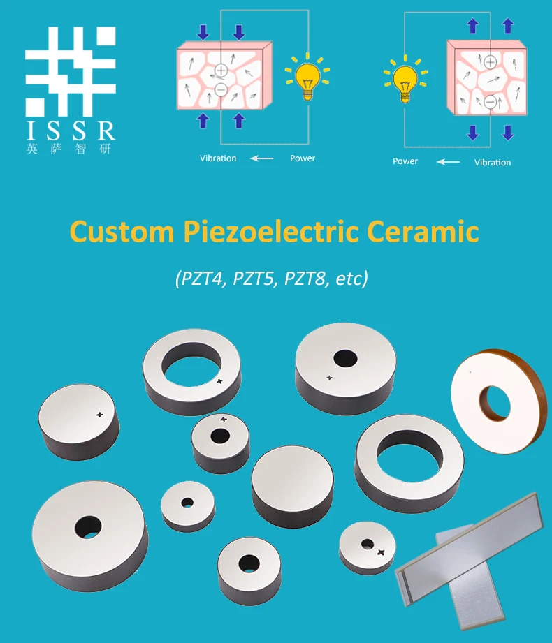 ISSR 25mm Piezoelectric Element Piezoelectric Ceramics Disc Substance ...