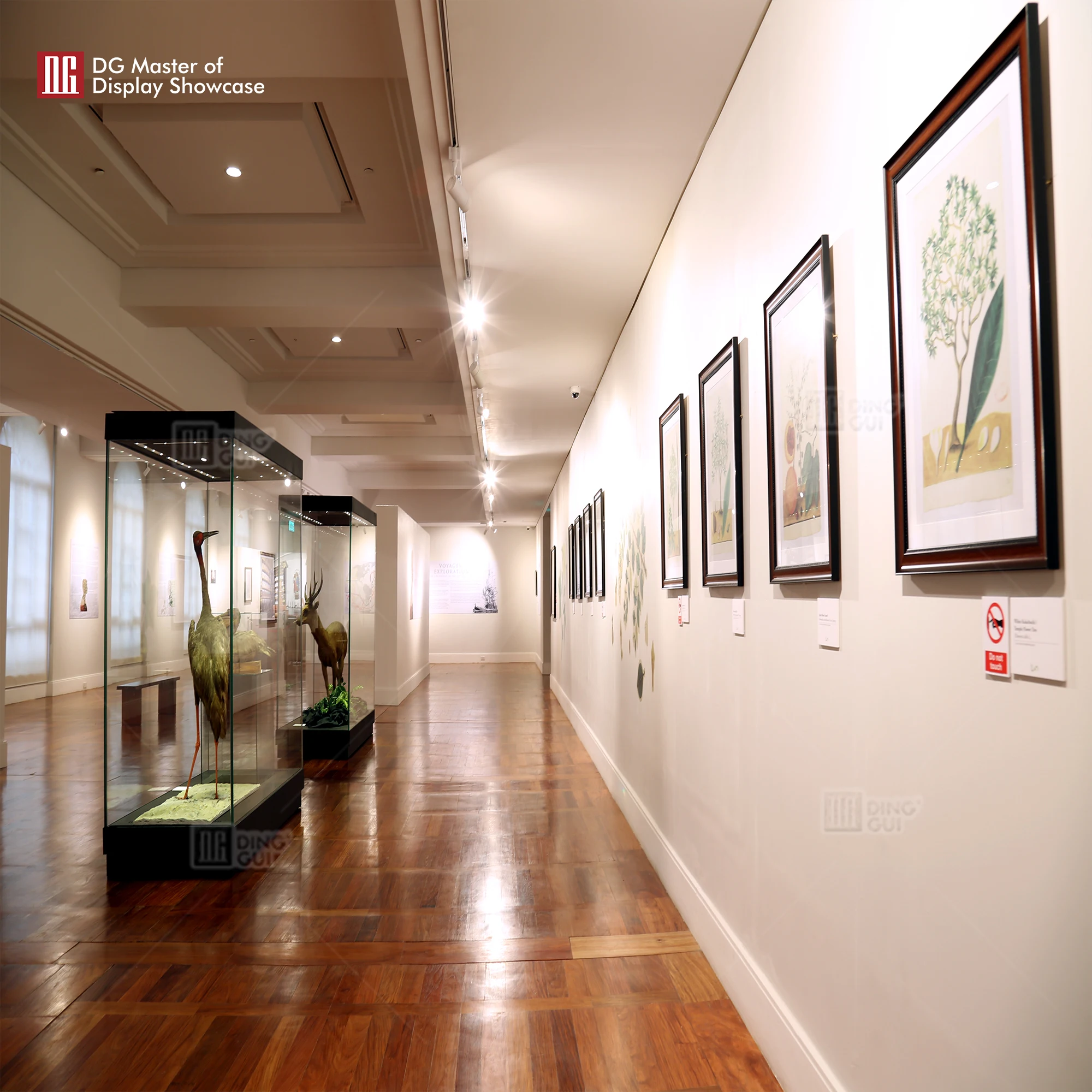 Dg Showcase Customized High-end Museum Counter Full View Glass Display ...