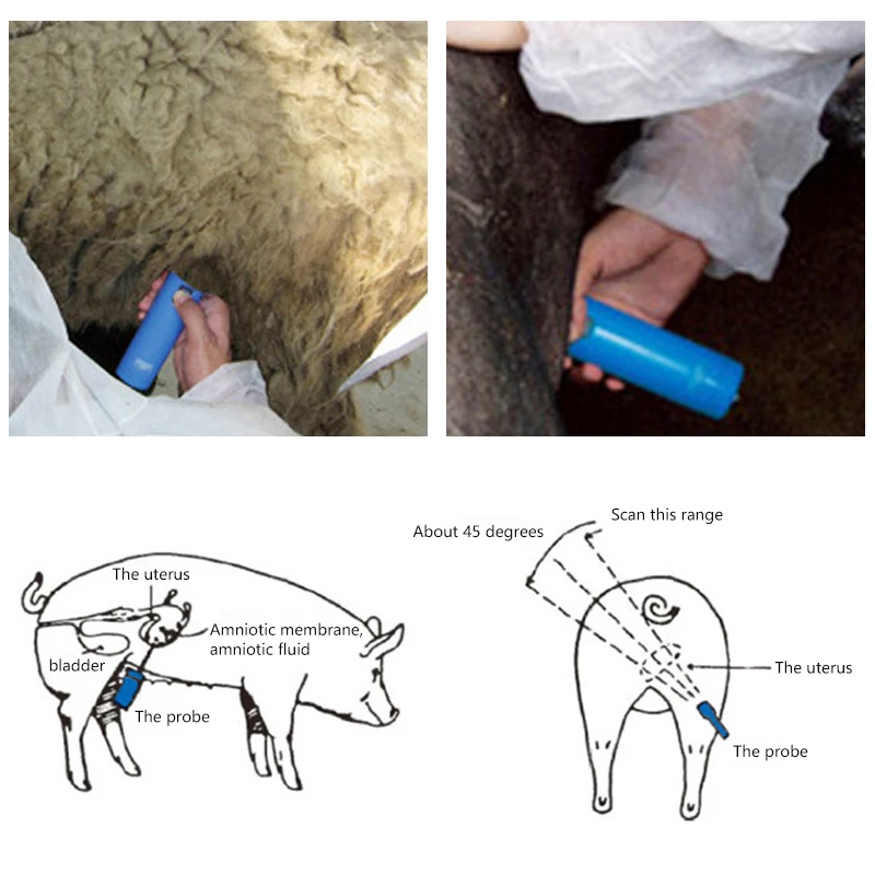 Portable Pregnancy Scanner Tester For Pig Goat Veterinary Ultrasound ...