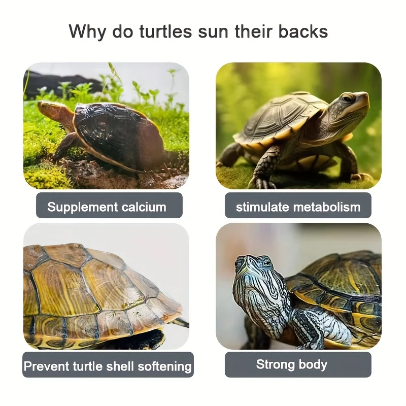 Plastic Turtle Shower Table Fish Tank Aquarium Platform With 2pcs ...