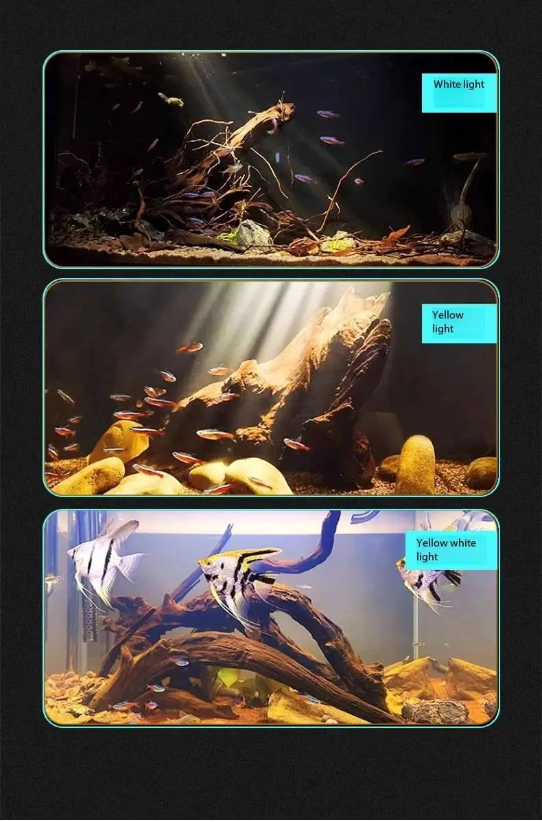 Wholesale Aquarium Medium and Small Ultra white Glass Landscaping Fish ...