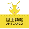 Company Overview - Ant Cargo International Ltd.