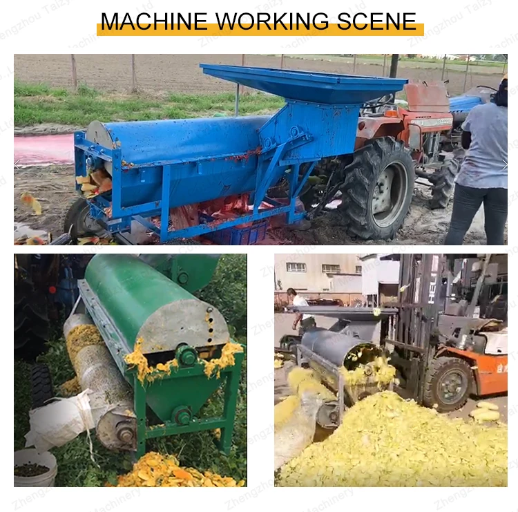 High Efficiency Pumpkin & Watermelon Seeds Processing