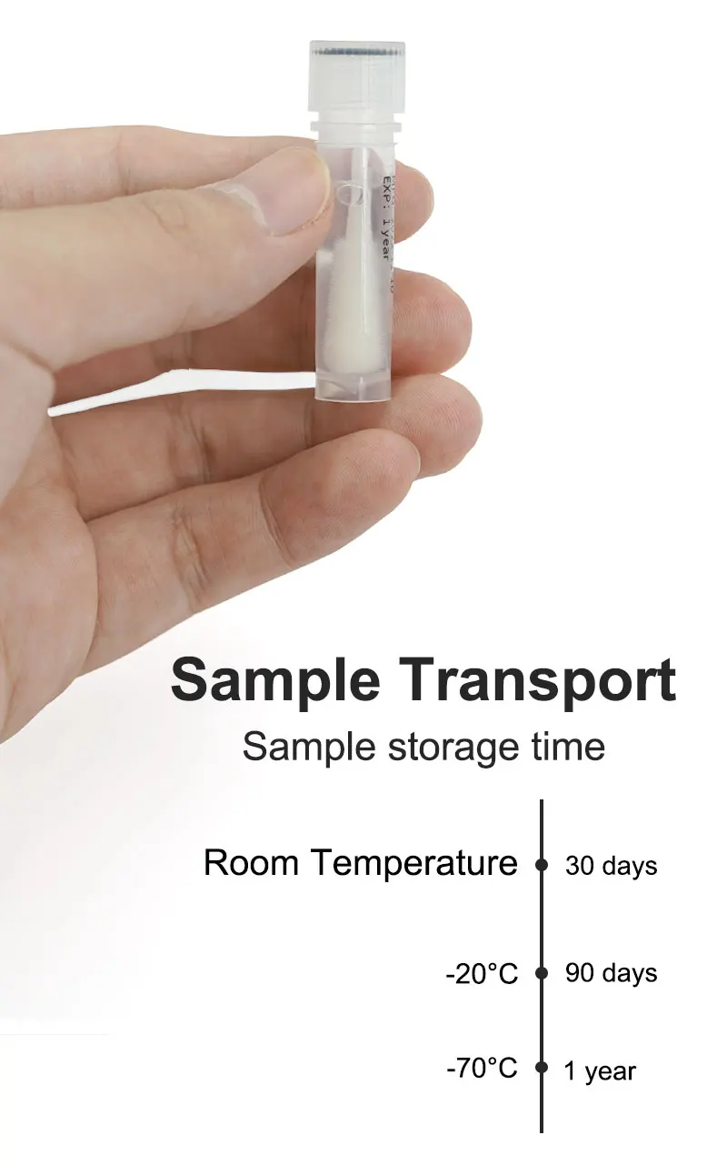 Human Collection Tube For Dna Test To Do At Home Wholesale Sample ...