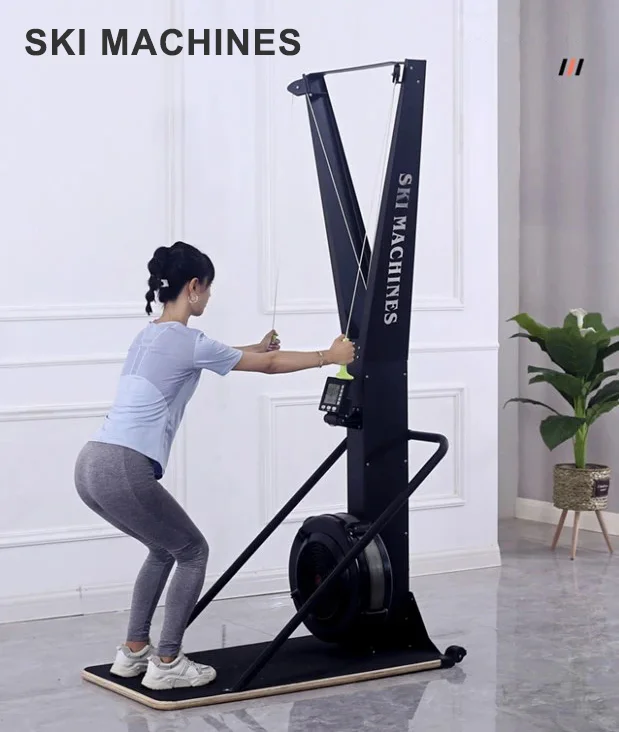 Premium Commercial Gym Equipment Cardio Exercise Ski Rower Rowing ...