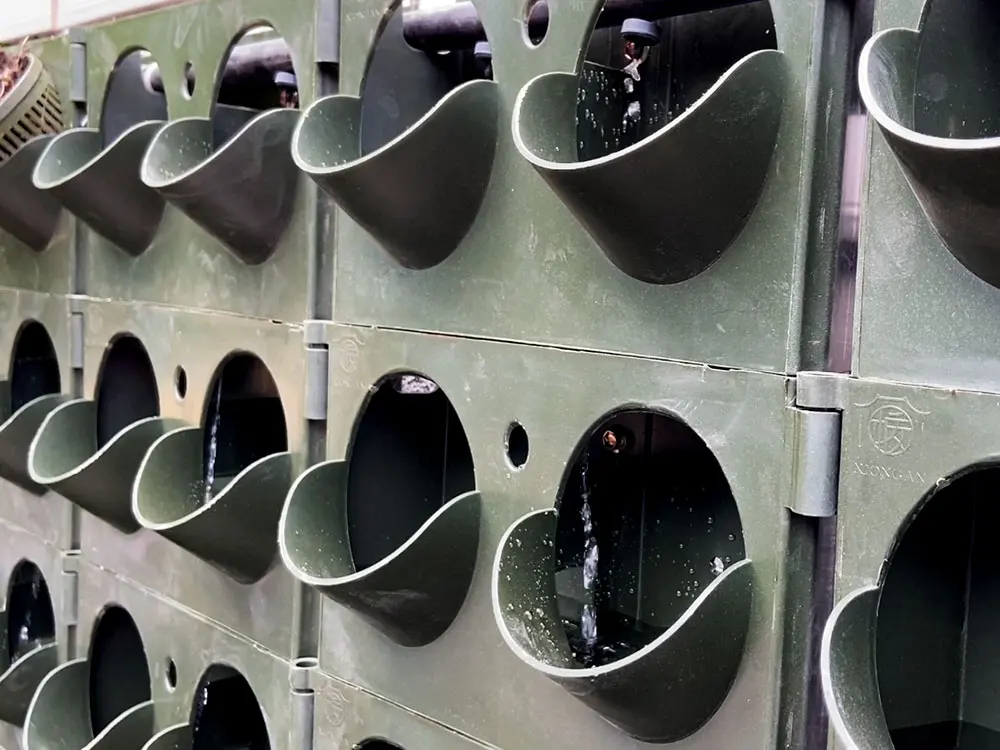 Hot Vertical Living Green Wall Outdoor Hanging Self Watering System ...