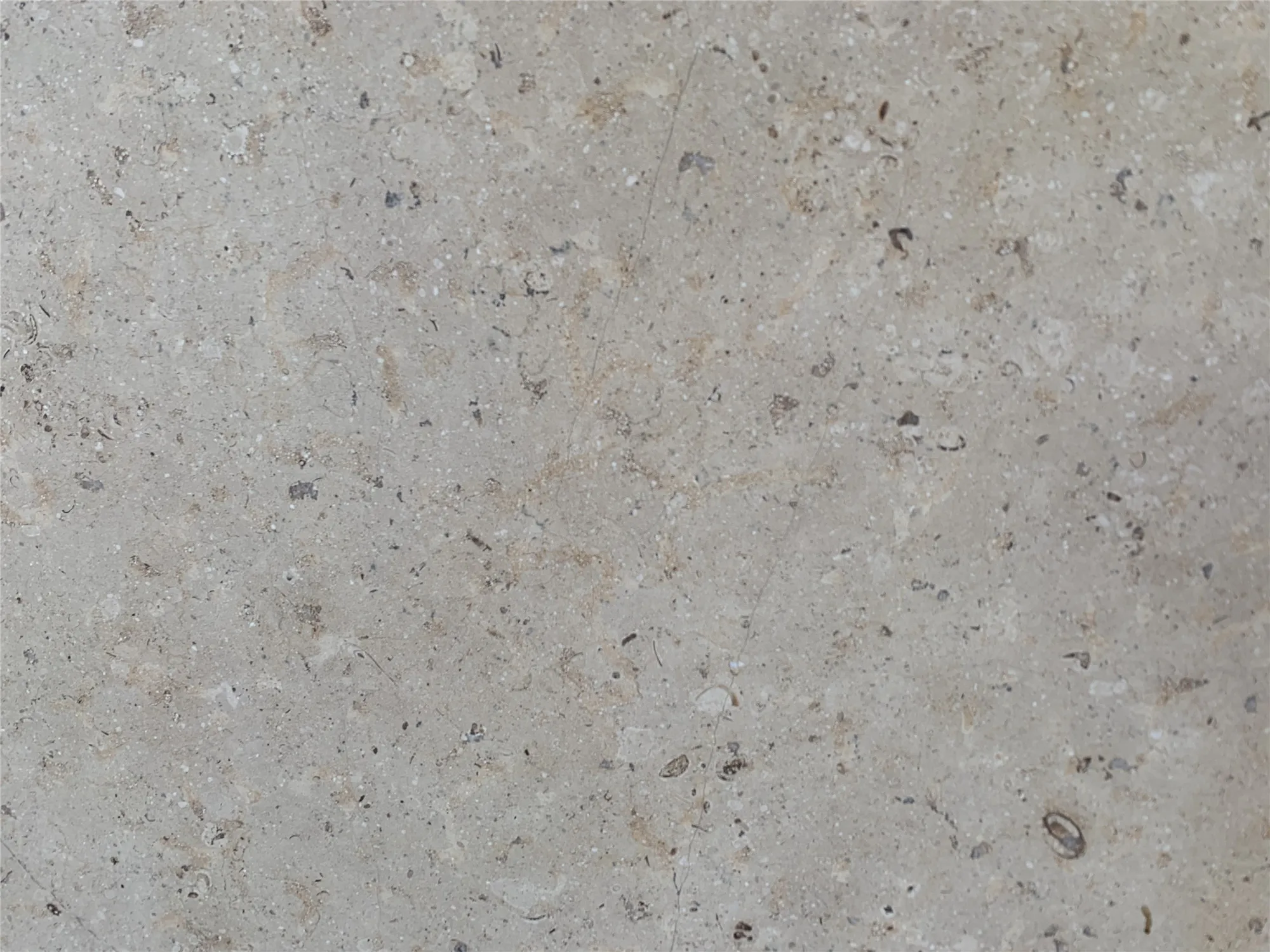 Limestone Cladding Suppliers White Limestone For Wall And Floor Tiles ...