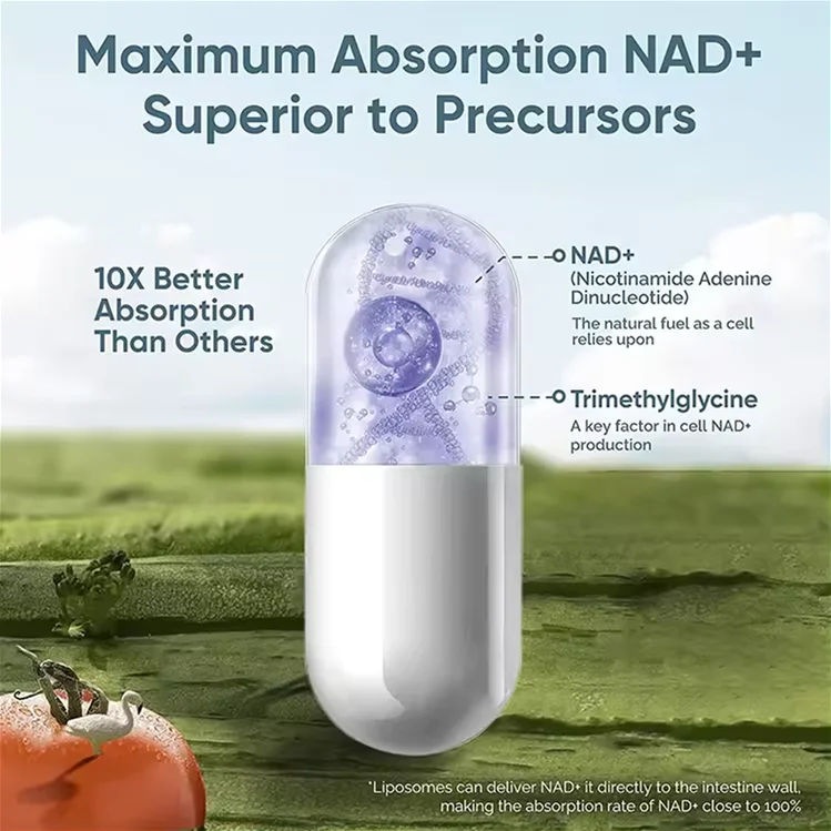 High Quality Nad+ 120 Capsules Private Label Non-gmo Antioxidant ...