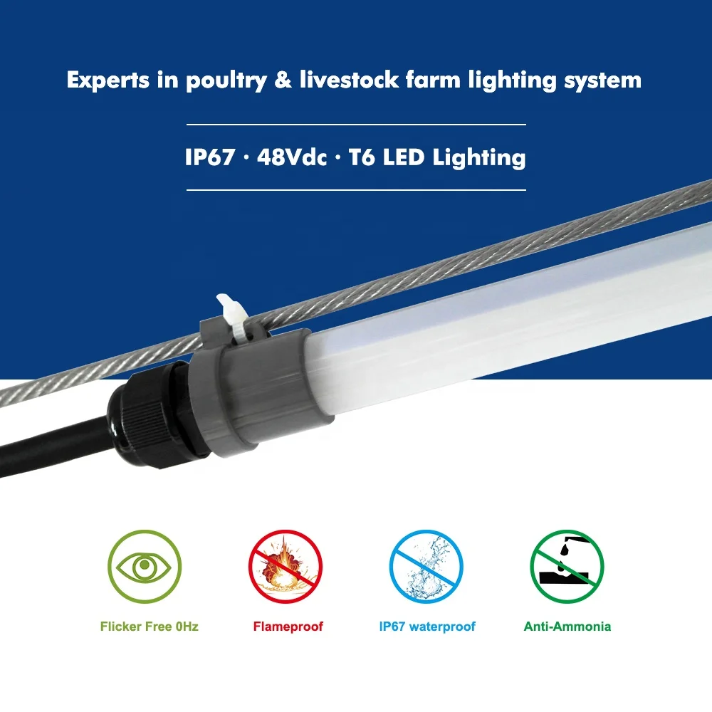 Hontech-wins 48vdc T6 Led Poultry Tube Lights 4w 1200mm For Chicken ...