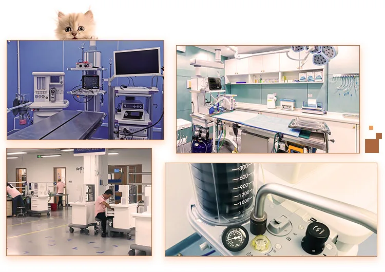 Veterinary Instrument Hospital Icu Puppy Incubator With Double Pad ...
