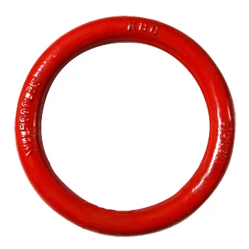Stainless Steel Rigging And Marine Hardware Welded Round Ring - Buy Weldless Rings,Fasteners ...