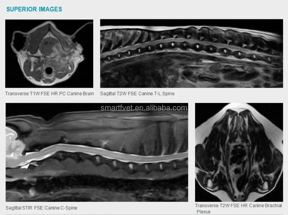Smart F Vet Veterinary Instrument Animal MRI Scan Magnetic Resonance ...
