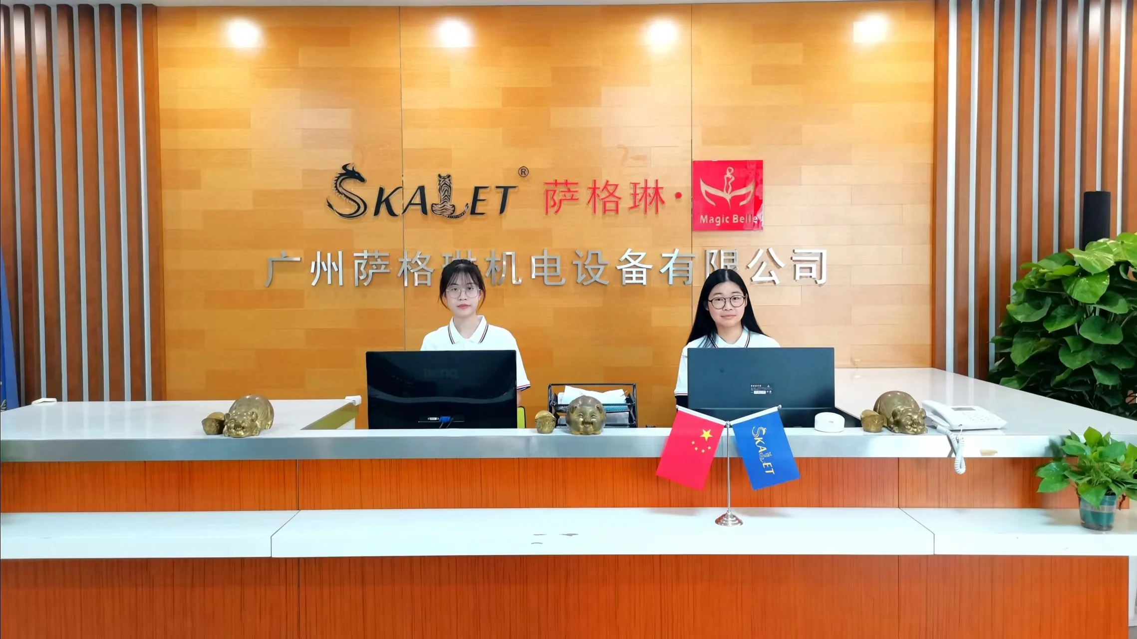 Skalet Reduced Pain and Inflammation PEMF Therapy Physio Magneto Pemf ...