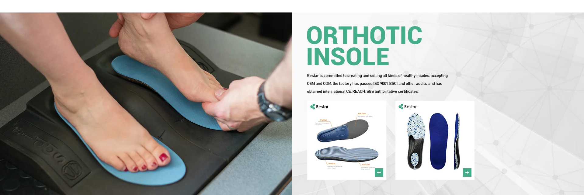 Xiamen Bestar Trade Co., Ltd. - insole, Shoe