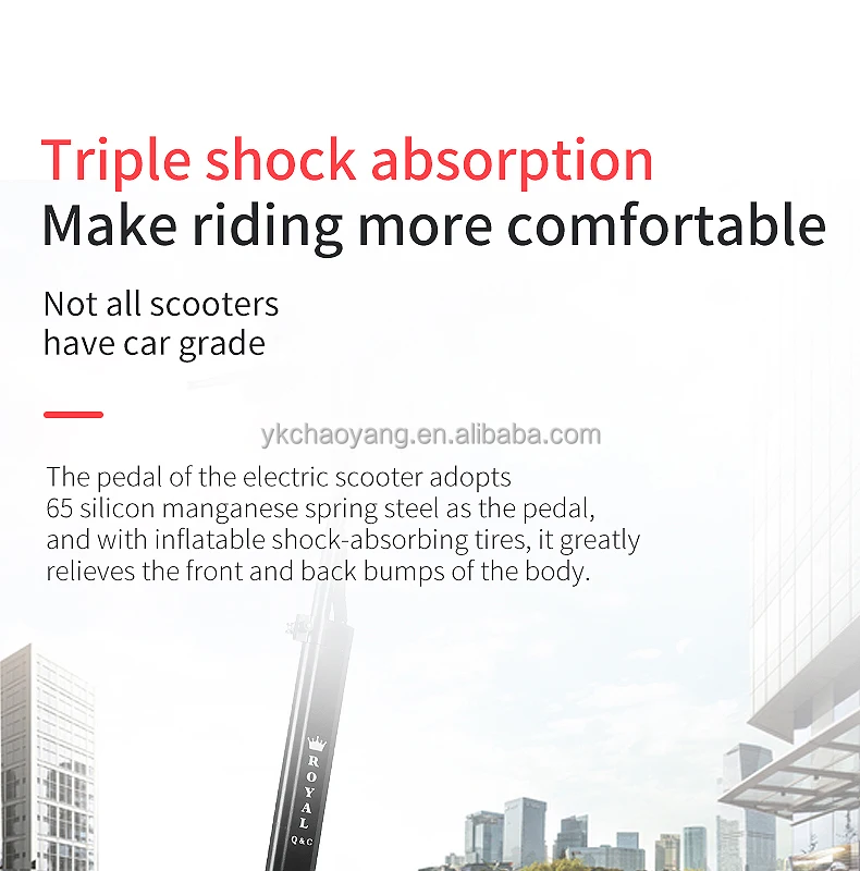 Electric Scooter 1000W Dual Motor - 10inch Tire & 48V Battery