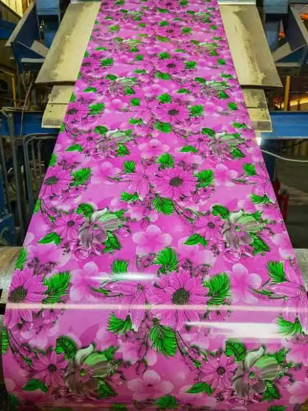 Double Coated Color Painted Metal Roll Paint Galvanized Zinc Coating ...