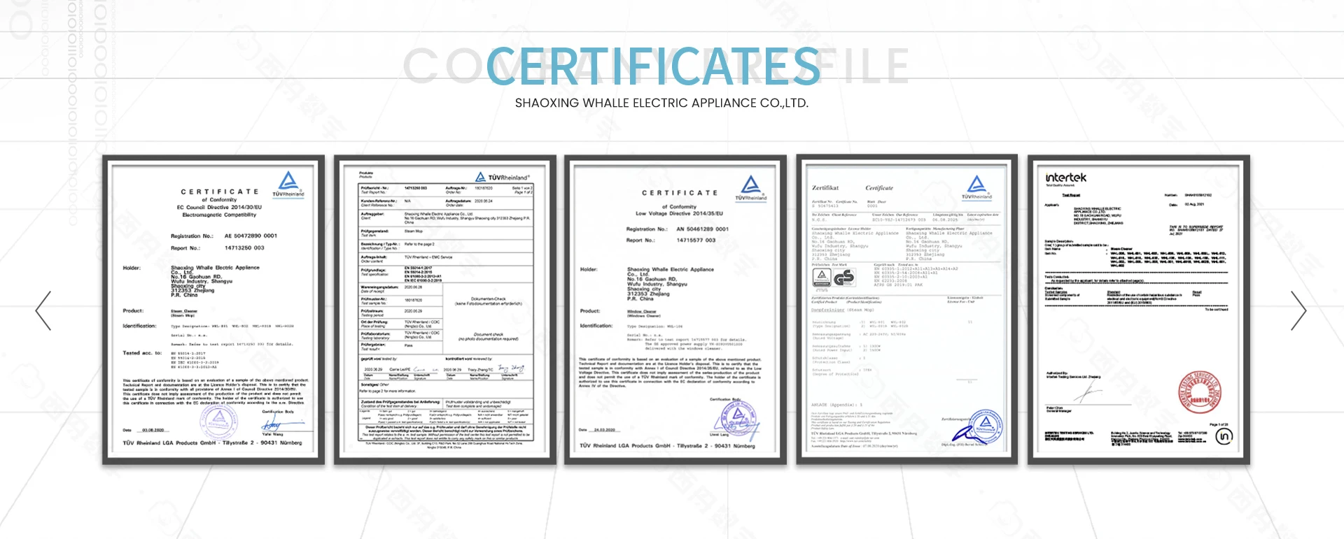 Lidl/aldi Supplier Portable Steam Cleaner WHL-609L - 1 Year Warranty