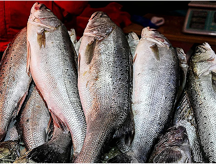 Factory Self-produced And Self Sold Sea Freight Full Container ...