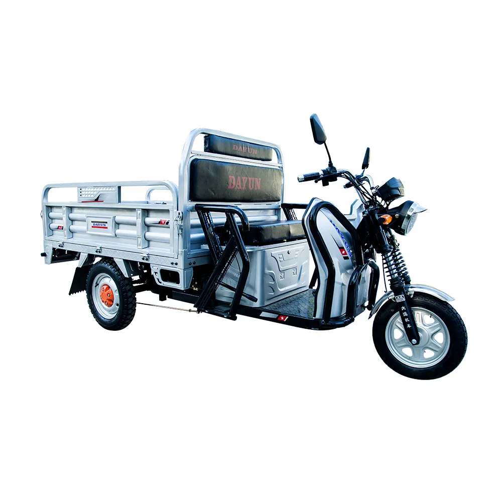 DAYUN 60V 1000W Electric Cargo Tricycle Cargo Motorcycle Electric ...
