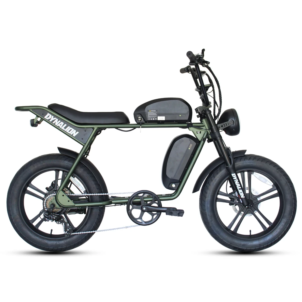 Professional 48V Electric E Bike 1000W Bicycle| Alibaba.com