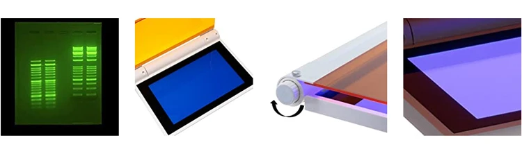 Laboratory Gel Electrophoresis Blue Light Transilluminator