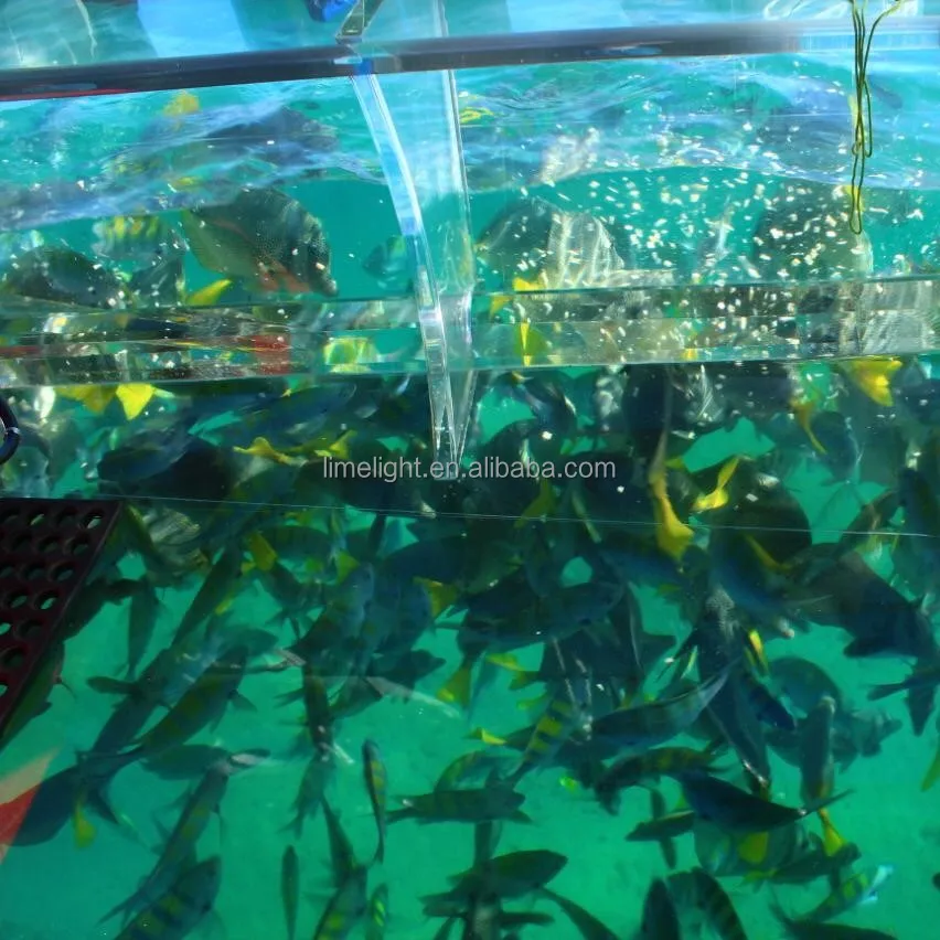 LIMELIGHT Clear Boat - Transparent Glass Bottom Boat