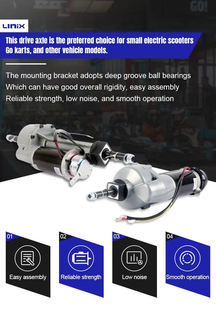 OEM LINIX DC 24V 500W Electric Car Rear Axle Gear Motor for Mobility ...