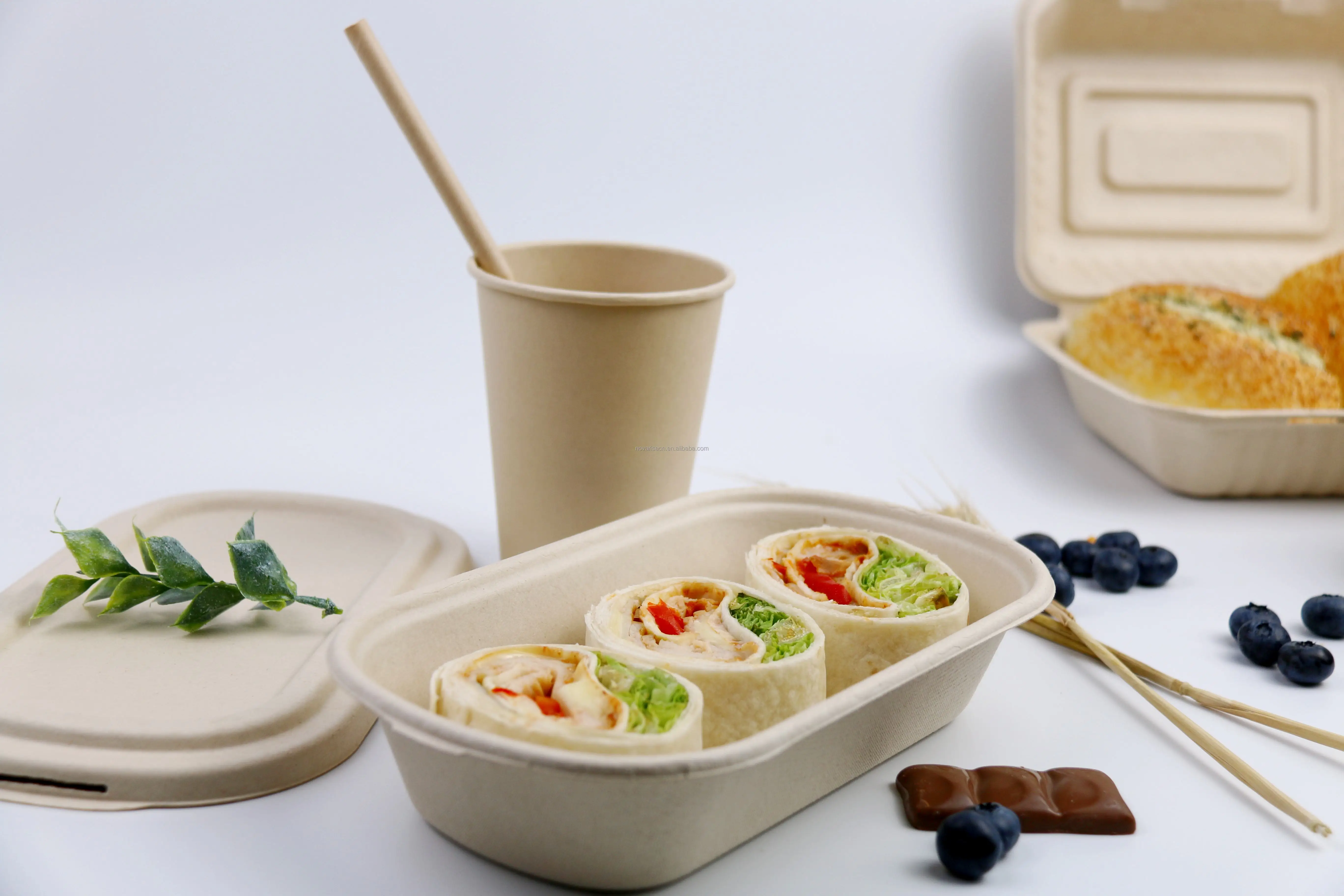 Disposable Biodegradable Sugarcane Pulp Fiber Bagasse Food Taco Box 3 ...