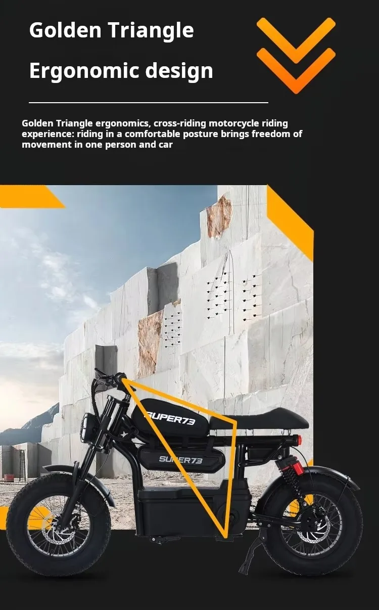 20 InchElectric Sow Bike Full Suspension Off-road 4.0 Fat Tire Long ...