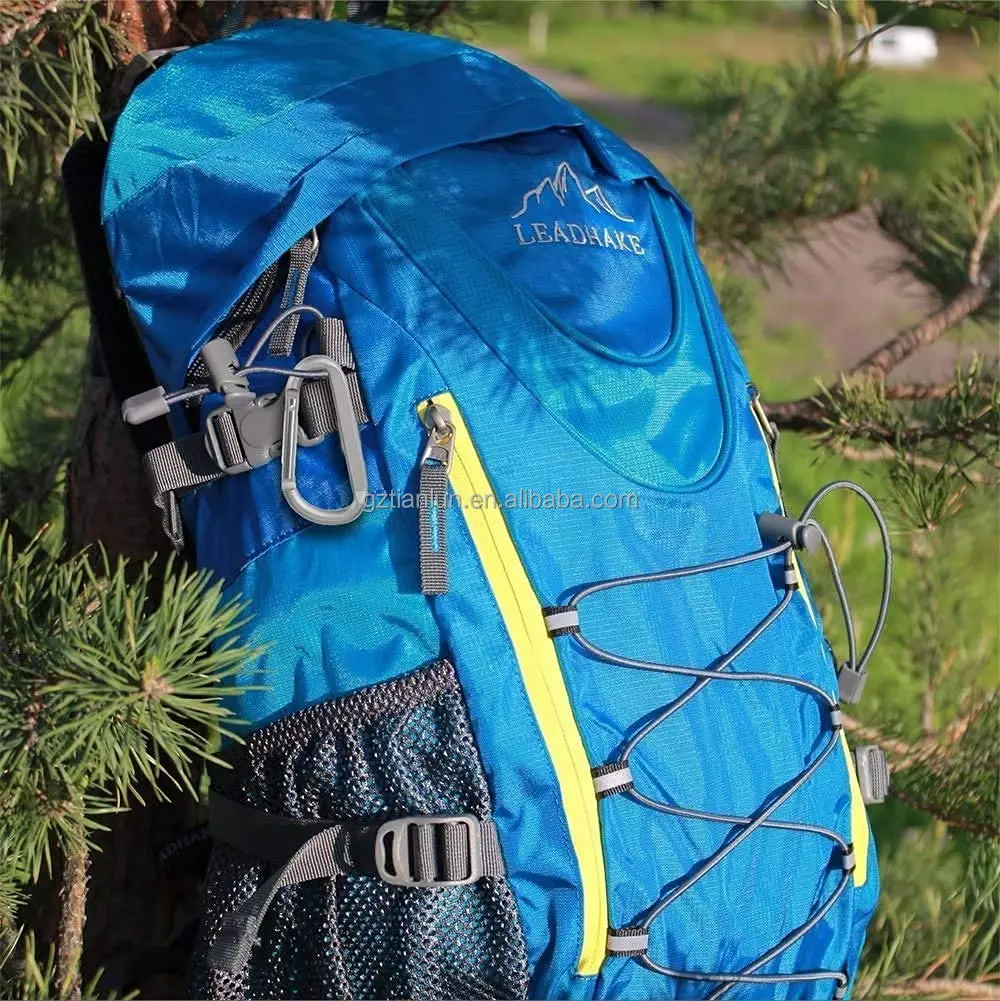 Large Aluminum D Ring Carabiner Keychain Clip Aluminum Caribeener Key ...