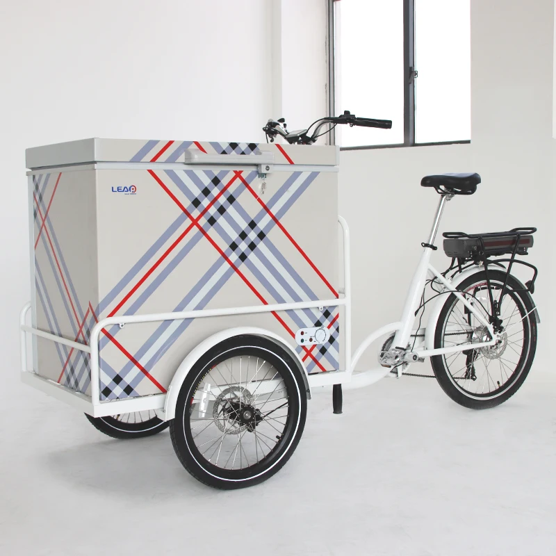 5 Seater Electric Pedicab Rickshaw - Efficient Transport
