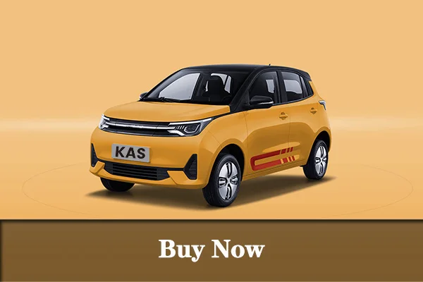 Nantong Stingtec Co., Ltd. - electric car, electric vehicles