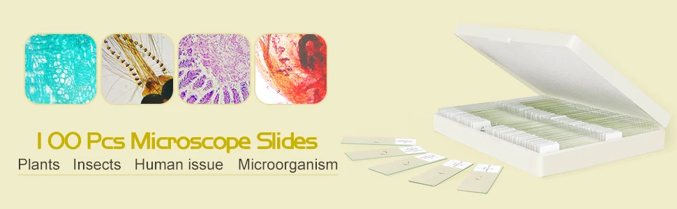 Medical Insects Mosquito Prepared Microscope Slides Set