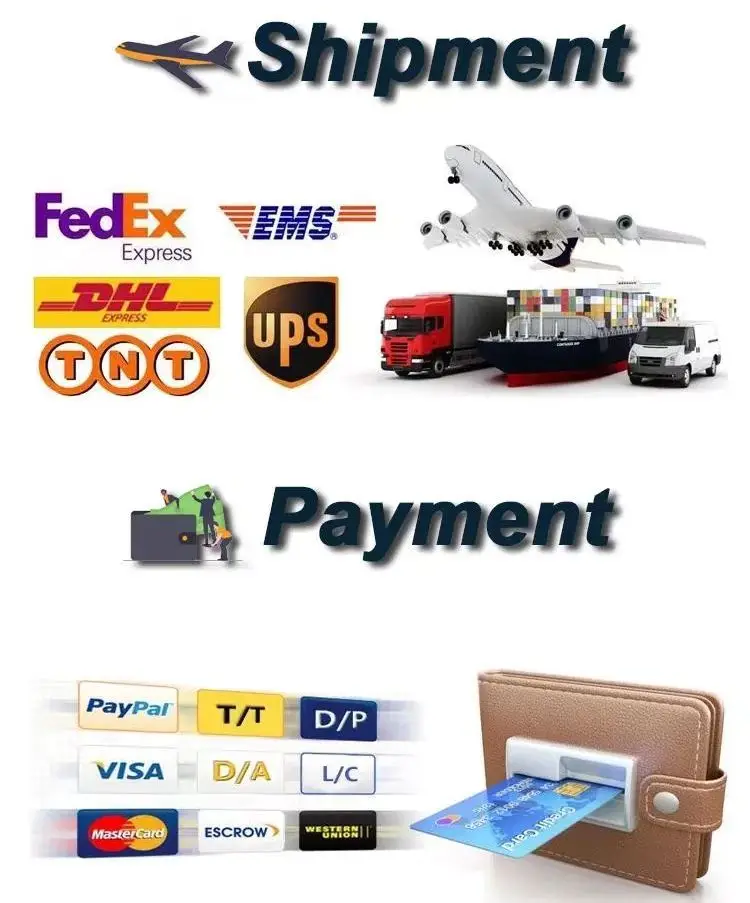 Ew140b Ec210b Ec240b Ec290b L60f L70f L110e L120f燃油泵22802475 20460417 ...