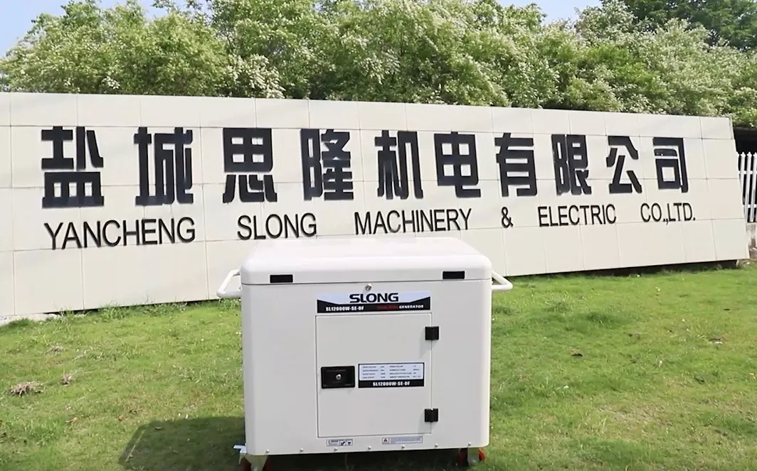 Slong 10000 Watt Silent Heavy Duty Propane Lpg Natural Gas Generators ...