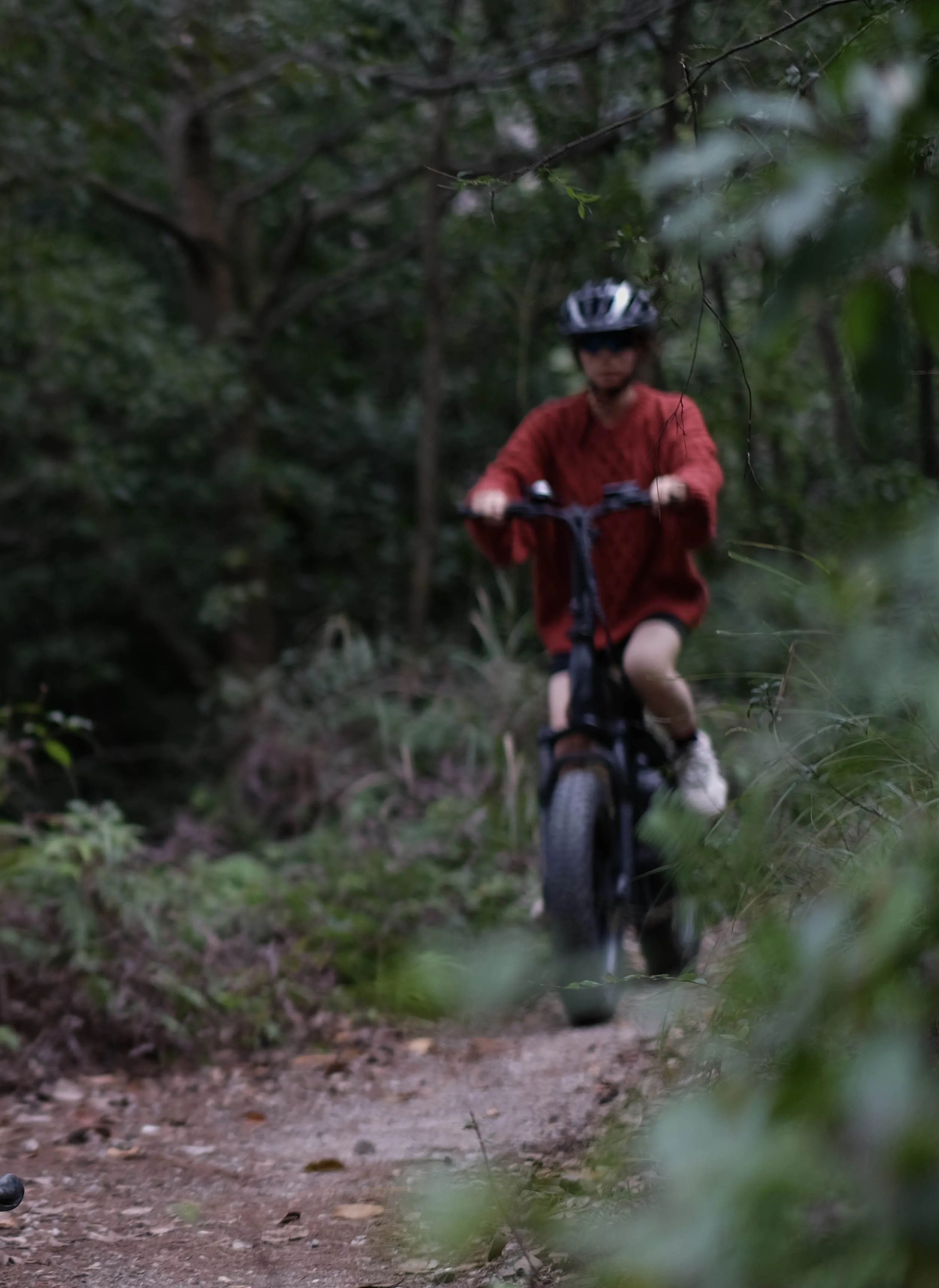 Beach fat Electric folding ebike quick release electric bicycle hidden ...