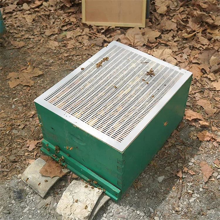 Plastic Queen Excluder 10 Frame Queen Bee Excluder Bee Hive for ...