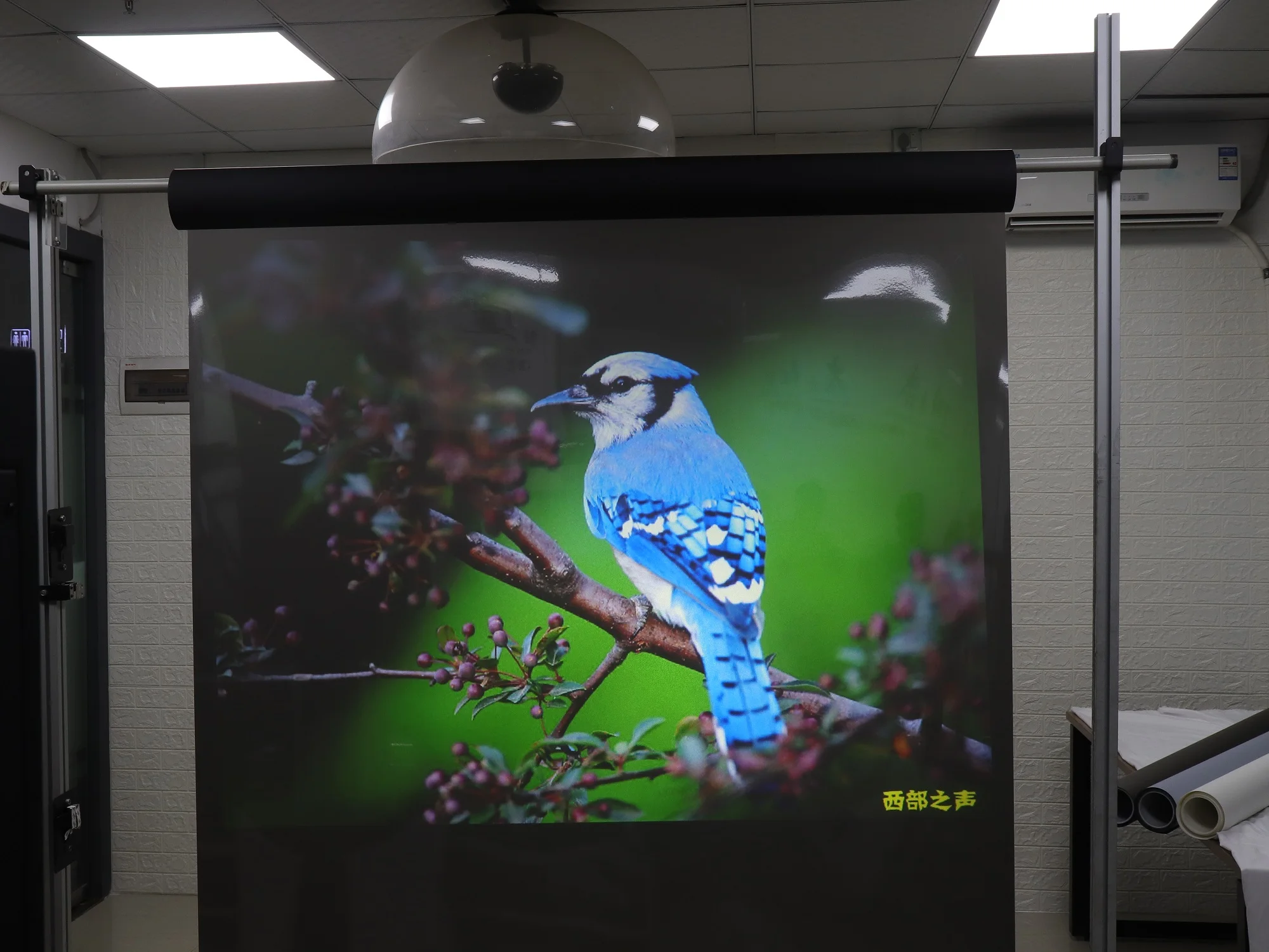 3 Meter 3d Hologram Film Advertising Projection Screen Black ...