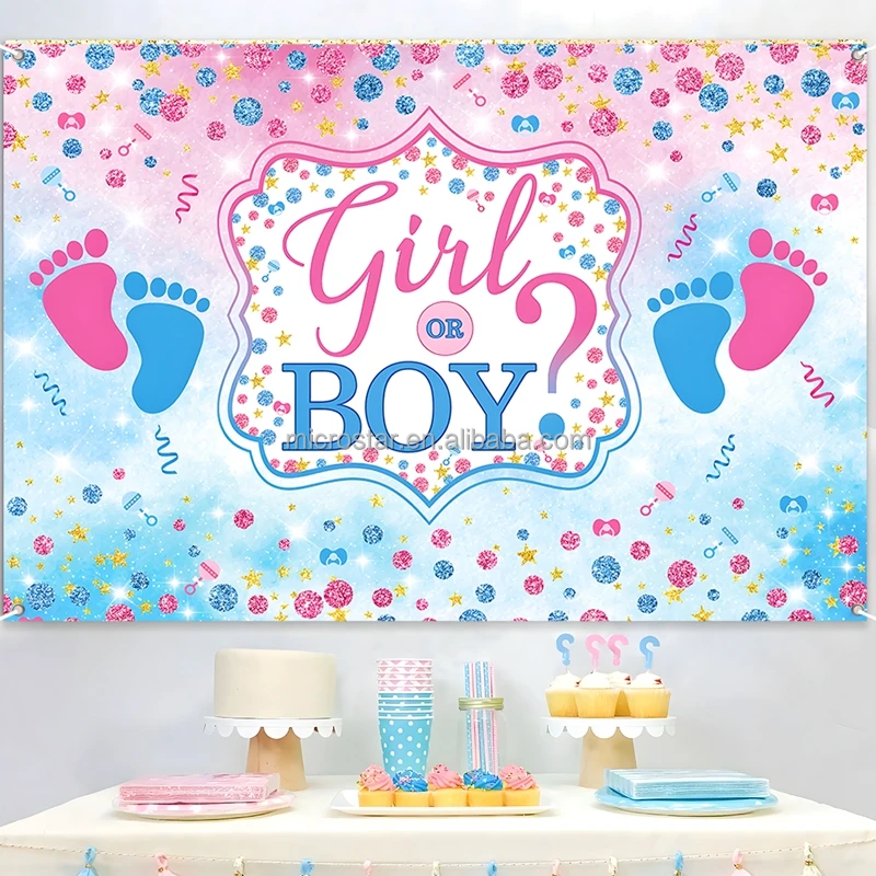 Gender Reveal Background Backdrop Vinyl - Boy or Girl Photography Decor ...